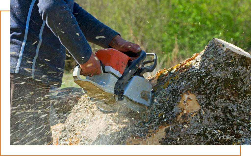 Tree Care Services in Tulsa, Oklahoma | Nick's Tree Service, Inc.